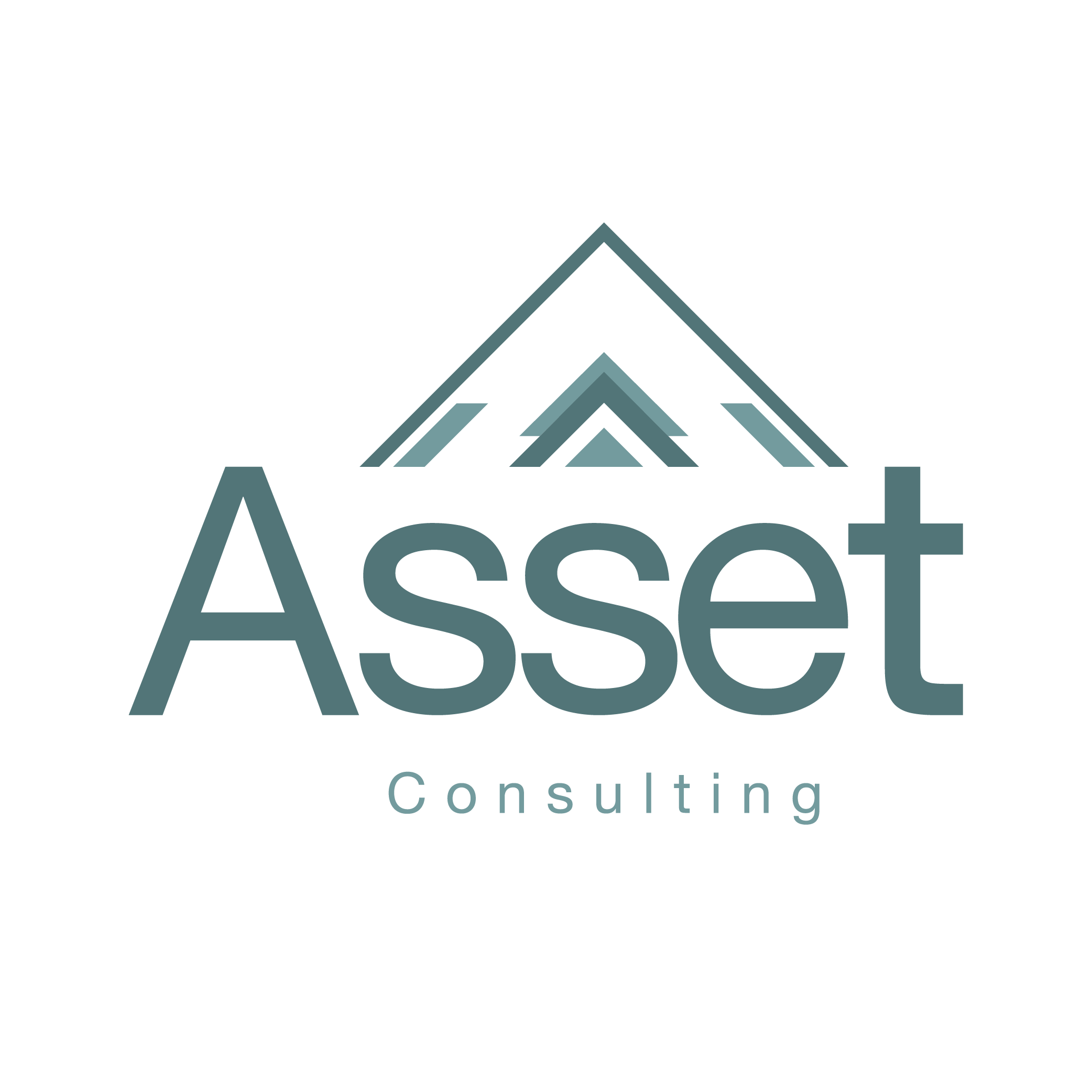 Asset Consulting